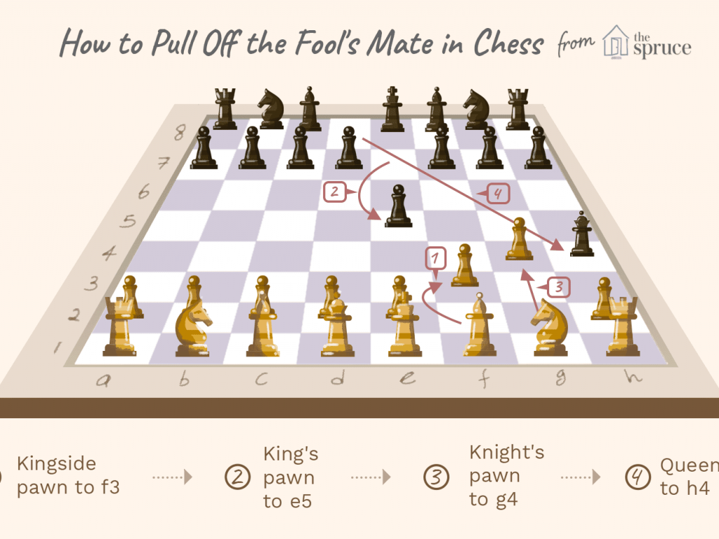 Top 10 Chess Fun Facts You Probably Did not Know | Premier Chess