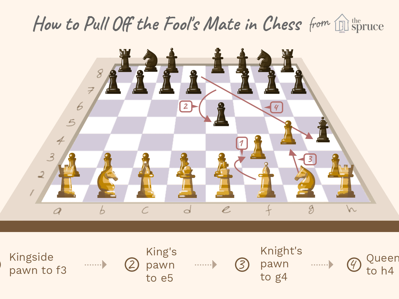 Top 10 Chess Fun Facts You Probably Did not Know | Premier Chess